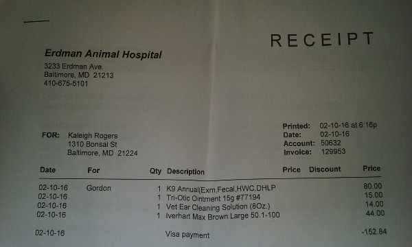 Fundraiser by Kaleigh Rogers : Gordon's Vet Bills & Vaccines