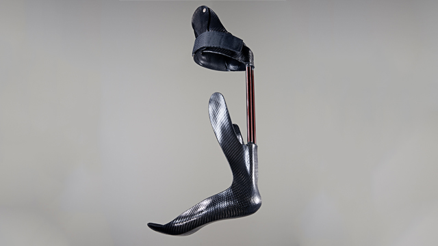 Talya's Below Knee Prosthesis Fund by Talya Simha Saisha - GoFundMe